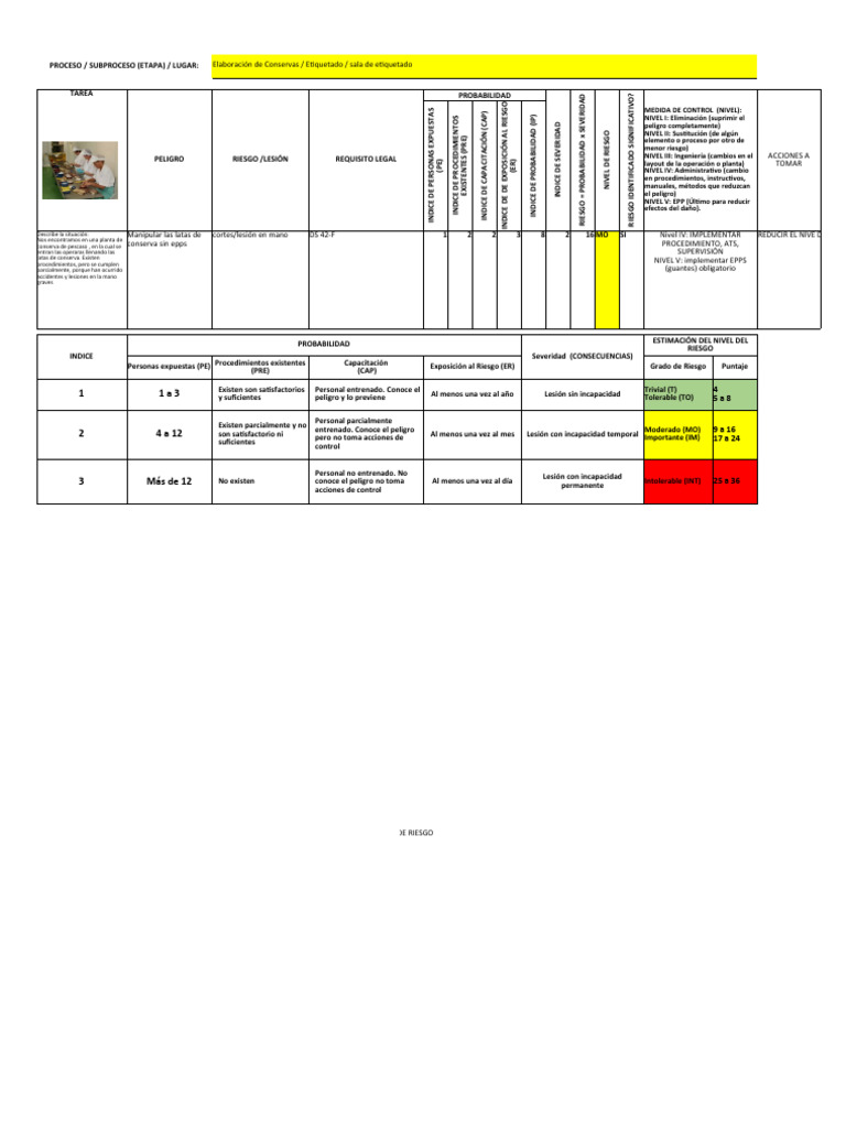 Matriz Iper Ejemplo | PDF