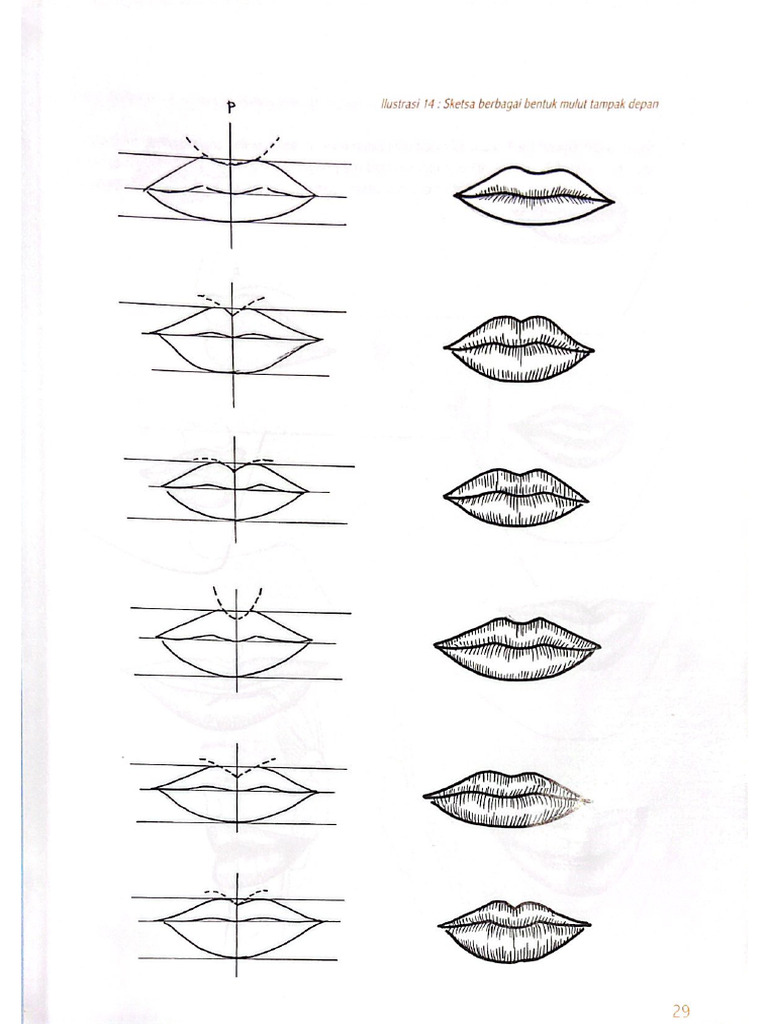 Bentuk Bibir-1 | PDF