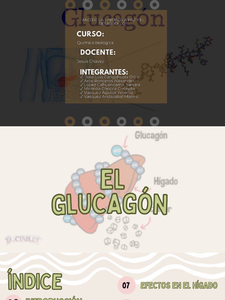 Funciones del Glucagón en el Metabolismo | PDF