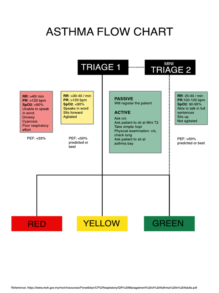 Triage Flowchart Asthma | PDF