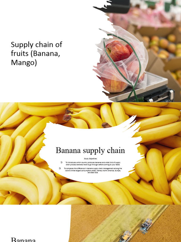 Banana Supply Chain Overview in Japan | PDF | Banana | Retail