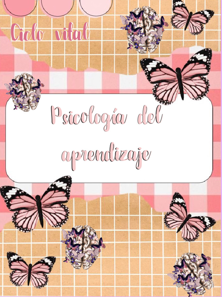 Psicología Del Aprendizaje 2 | PDF | Sicología | Pensamiento