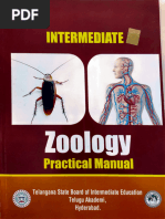 JR Botany Ipe Baby Bullet | PDF | Leaf | Fertilisation