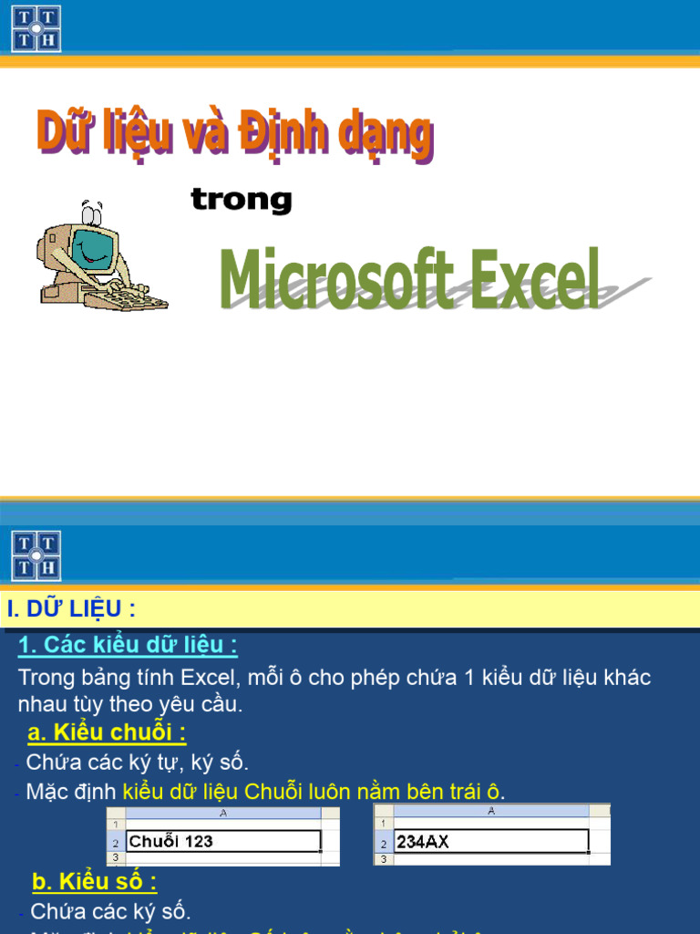 Bai2 Dulieu Dinhdang MicrosoftExcel | PDF