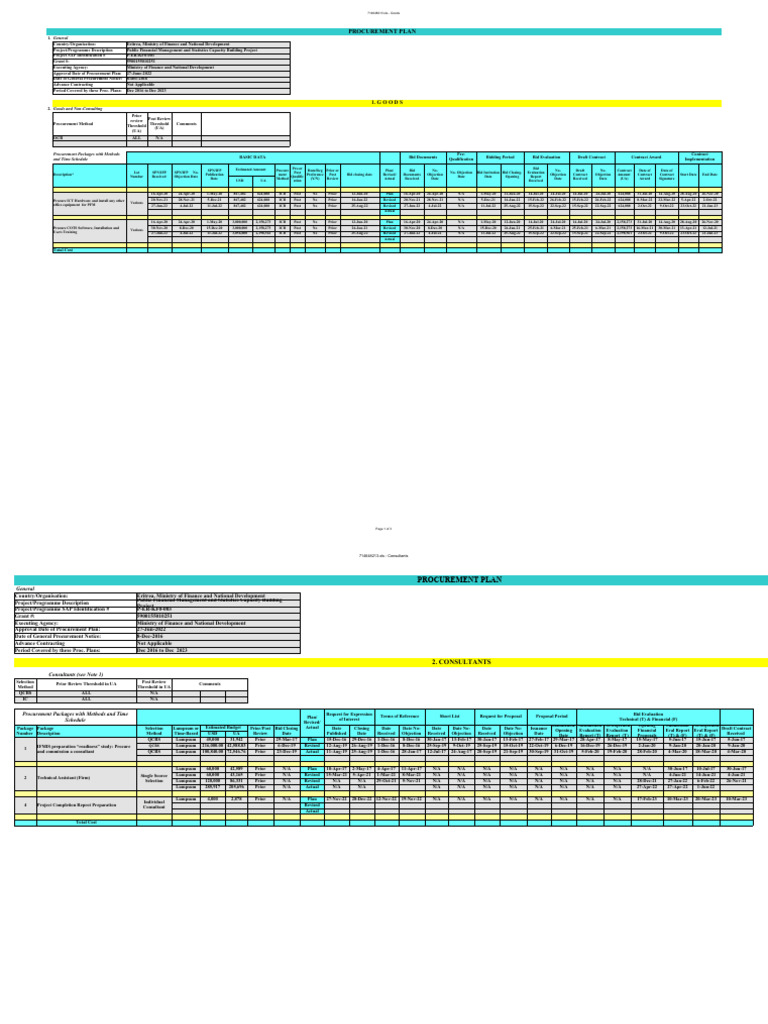 Copie de Eritrea - Governance - PFM SCB Project - Procurement Plan - June 2022 | PDF ...