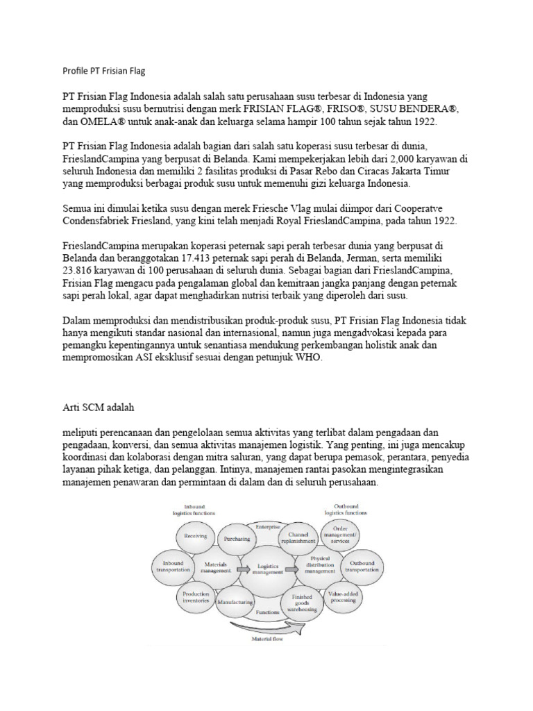 SCM PT Frisian Flag | PDF