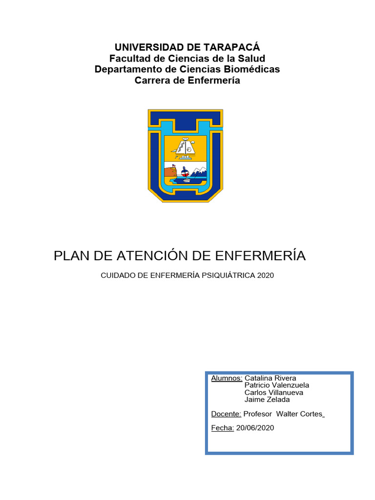 Formato Pae Pdf Esquizofrenia Alcoholismo