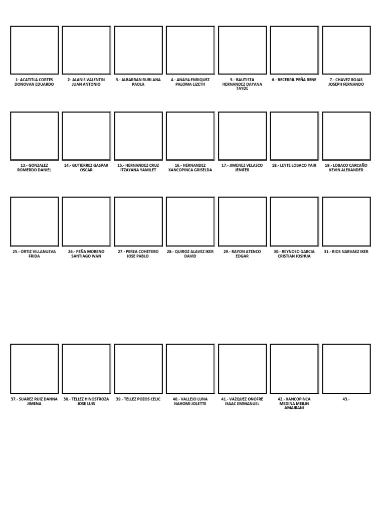 Formato Fotograma-1 | PDF