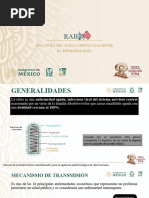 Manual - Rabia en Humano | PDF | Inmunofluorescencia | Rabia