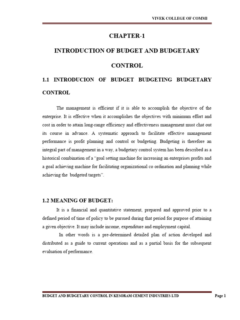 Budgeting Process | PDF