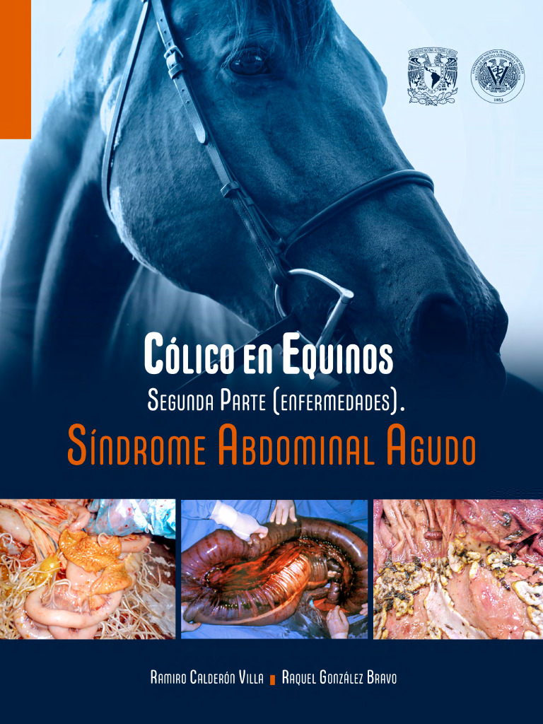 Colico Equinos 2 | PDF | Estómago | Diarrea