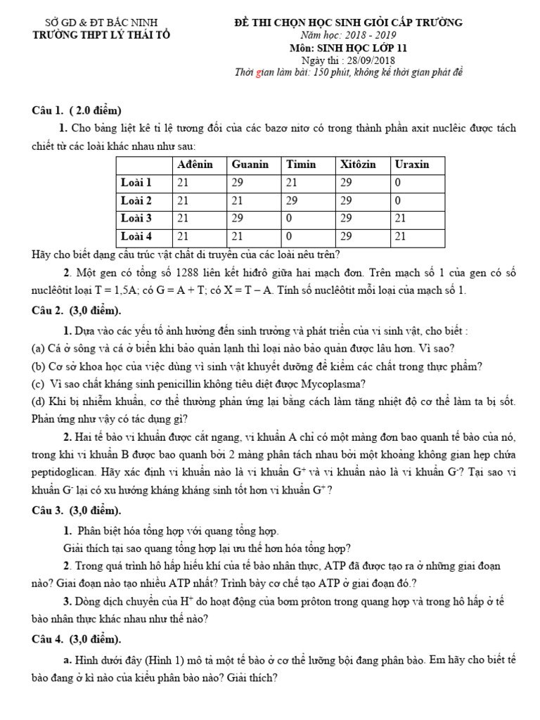 De Thi Chon HSG Cap Truong Sinh Hoc 11 Nam 2018 2019 Truong Ly Thai To Bac Ninh | PDF