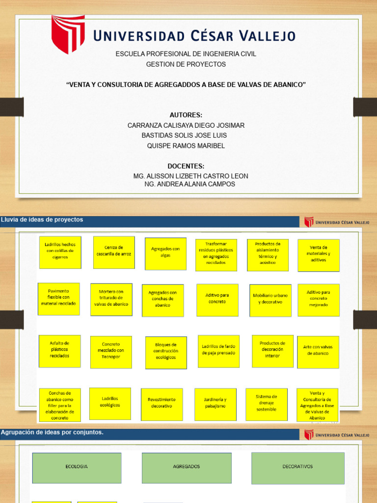 Expocicion Final | PDF | Marketing | Producto (Negocio)