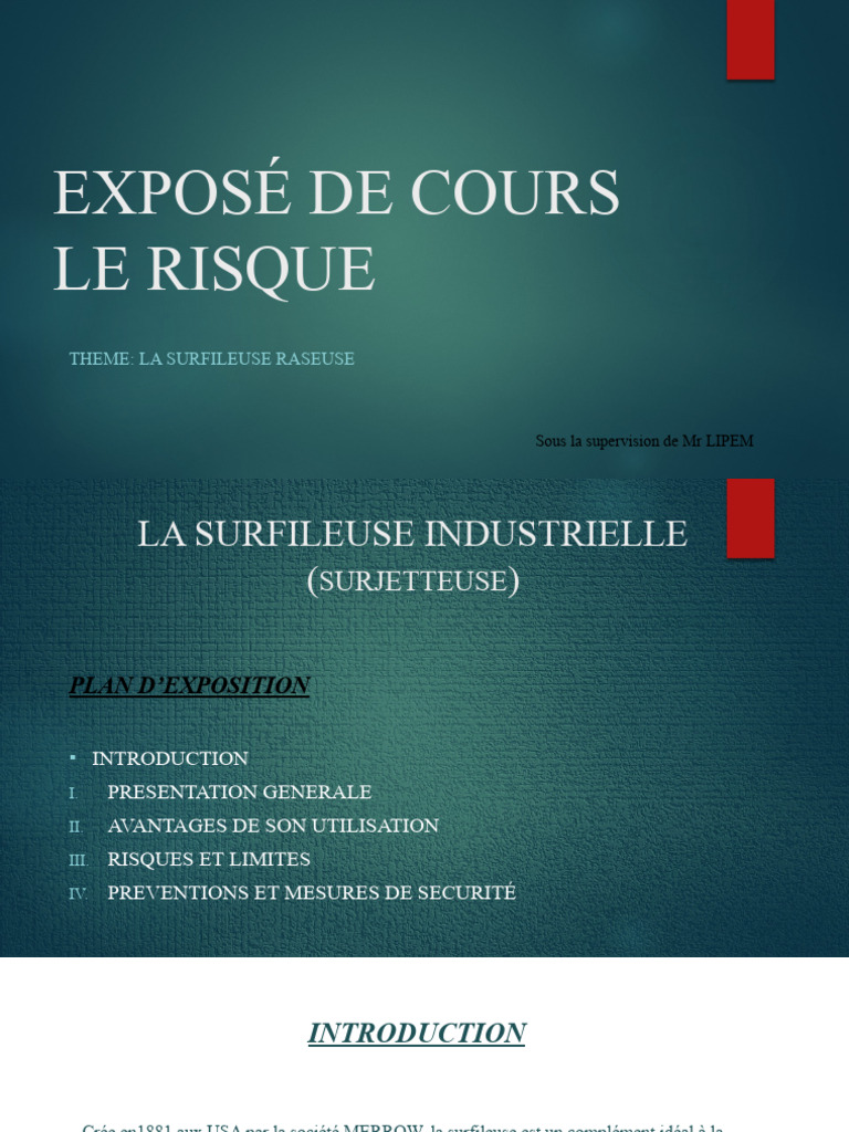 Exposé de Cours Sur Le Risque | PDF