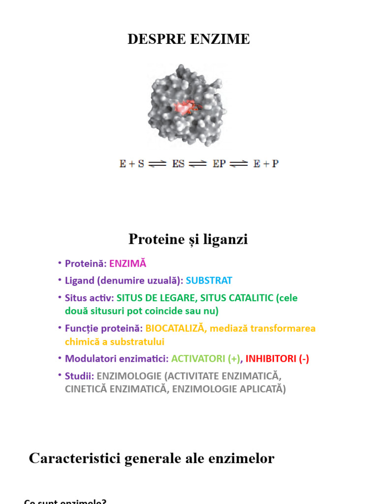 Despre Enzime | PDF