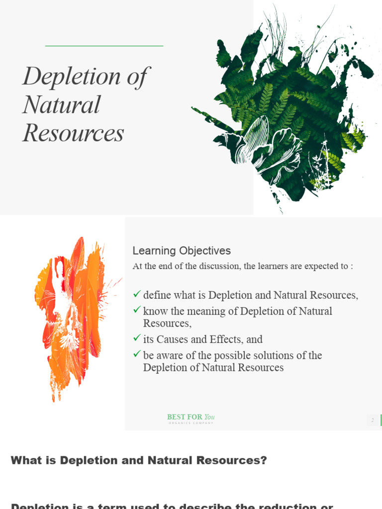 Causes and Solutions for Resource Depletion | PDF | Resource Depletion ...