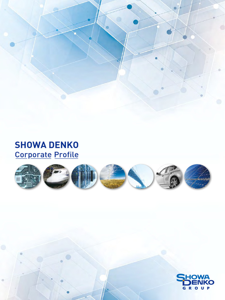 Showa Denko: Vision & Growth | PDF | Plastic | Materials