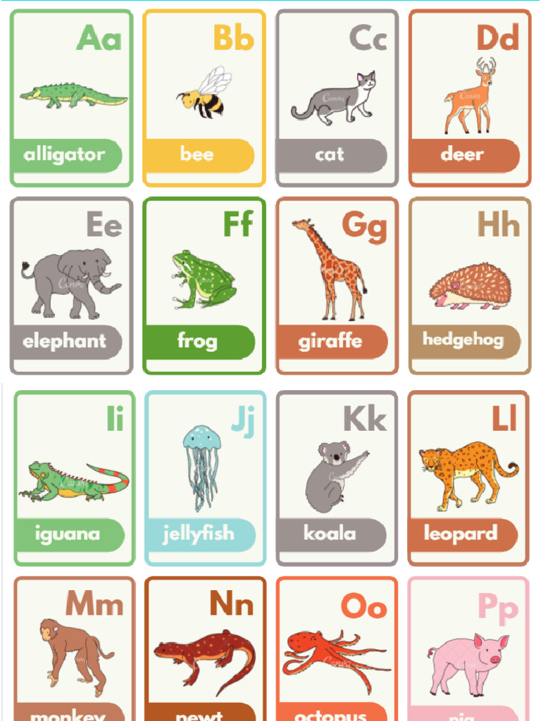 Flash Card Hewan | PDF