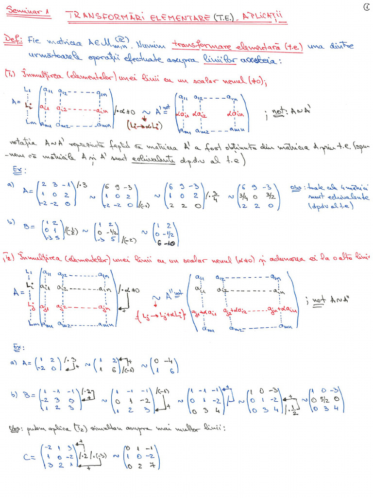 Seminar 01 (Transformari Elementare, Rangul Unei Matrici) | PDF