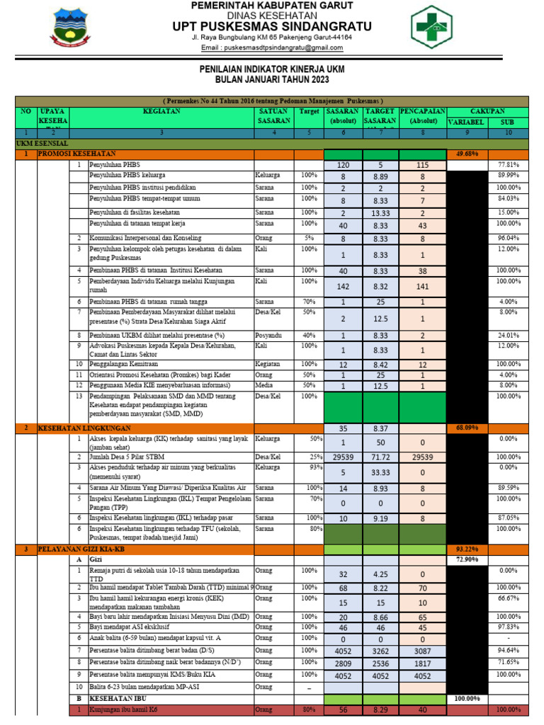 Pencapaian Indikator Kinerja | PDF
