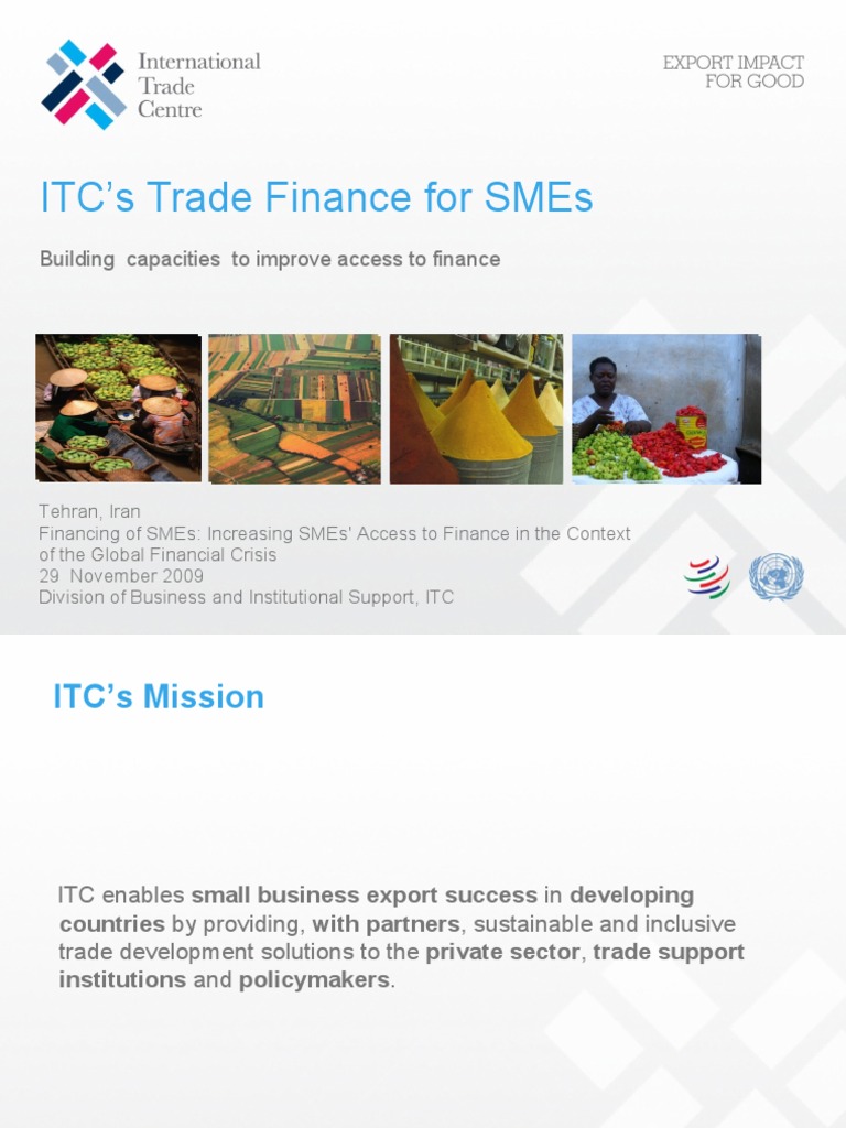 Building Capacities To Improve Access To Finance | PDF | Small And ...
