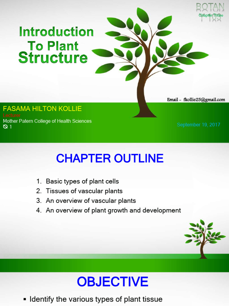Chapter3 Planttissues 170922155708 | PDF | Tissue (Biology) | Organisms