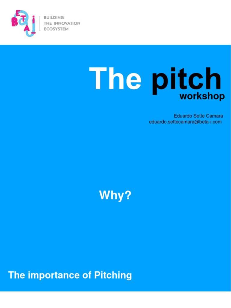 Beta-I Pitch Workshop | PDF | Startup Company | Small Business ...