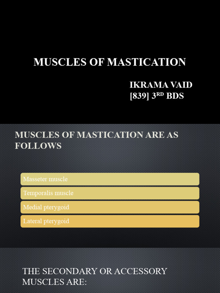 Muscles of Mastication Overview | PDF