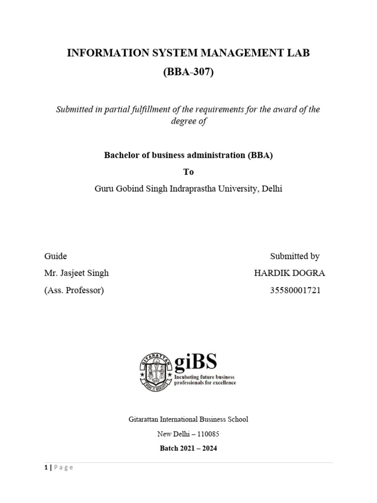 Information System Lab Report | PDF | Databases | Data Management