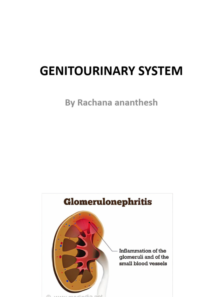 Genitourinary System Pathology | PDF