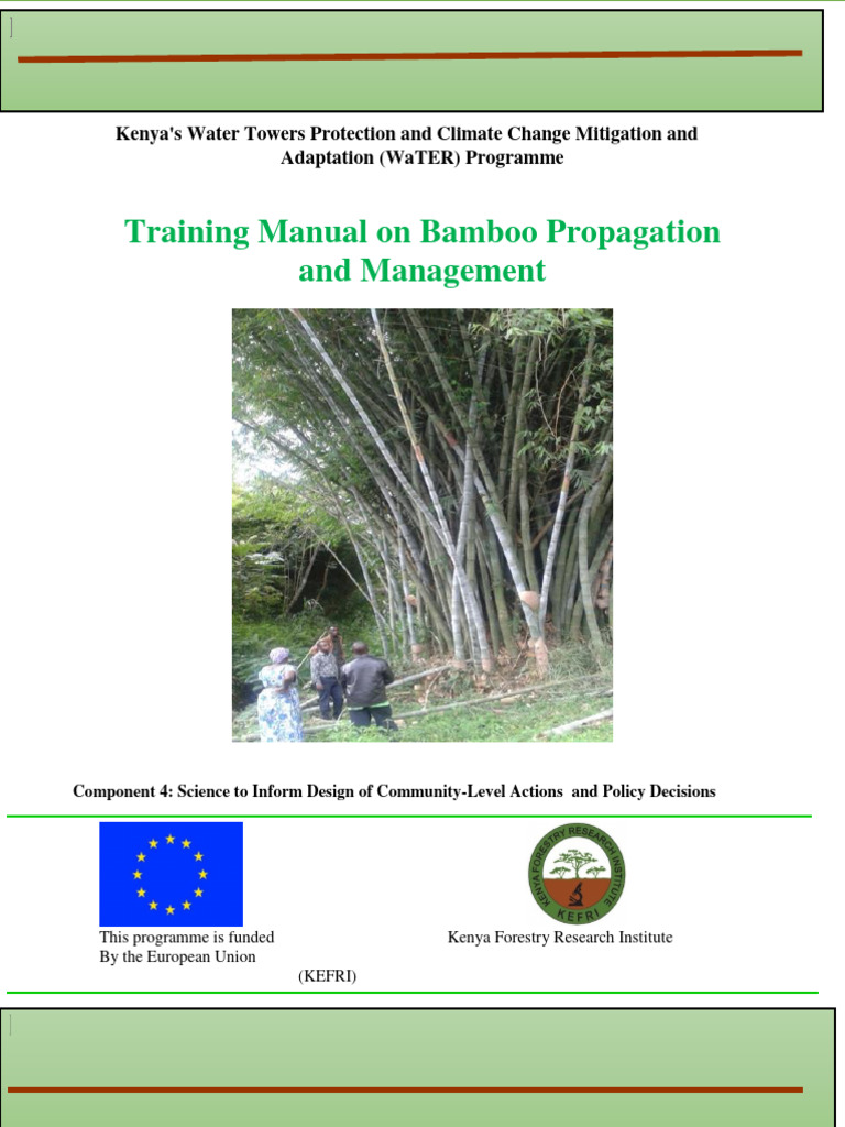 Bamboo Propagation and Management Guide | PDF | Plant Nursery | Bamboo
