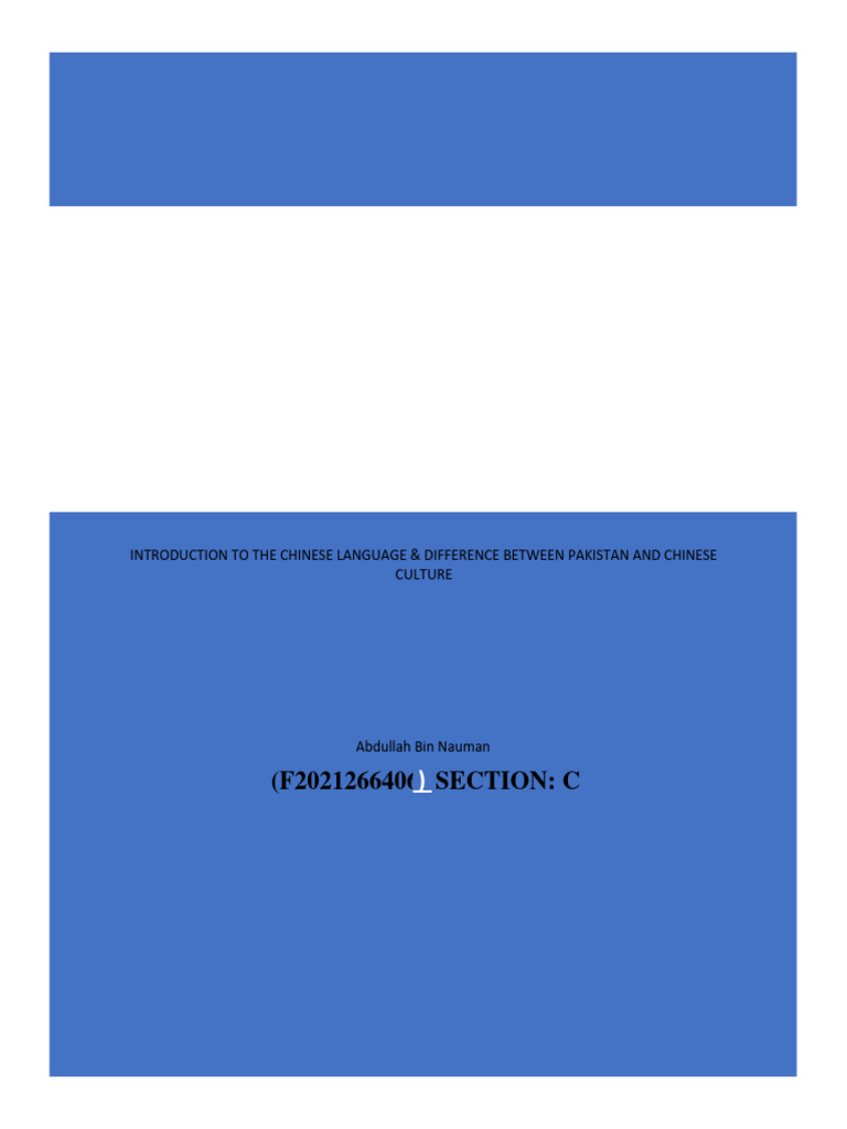 Assignment 01 Chineese c-12 | PDF