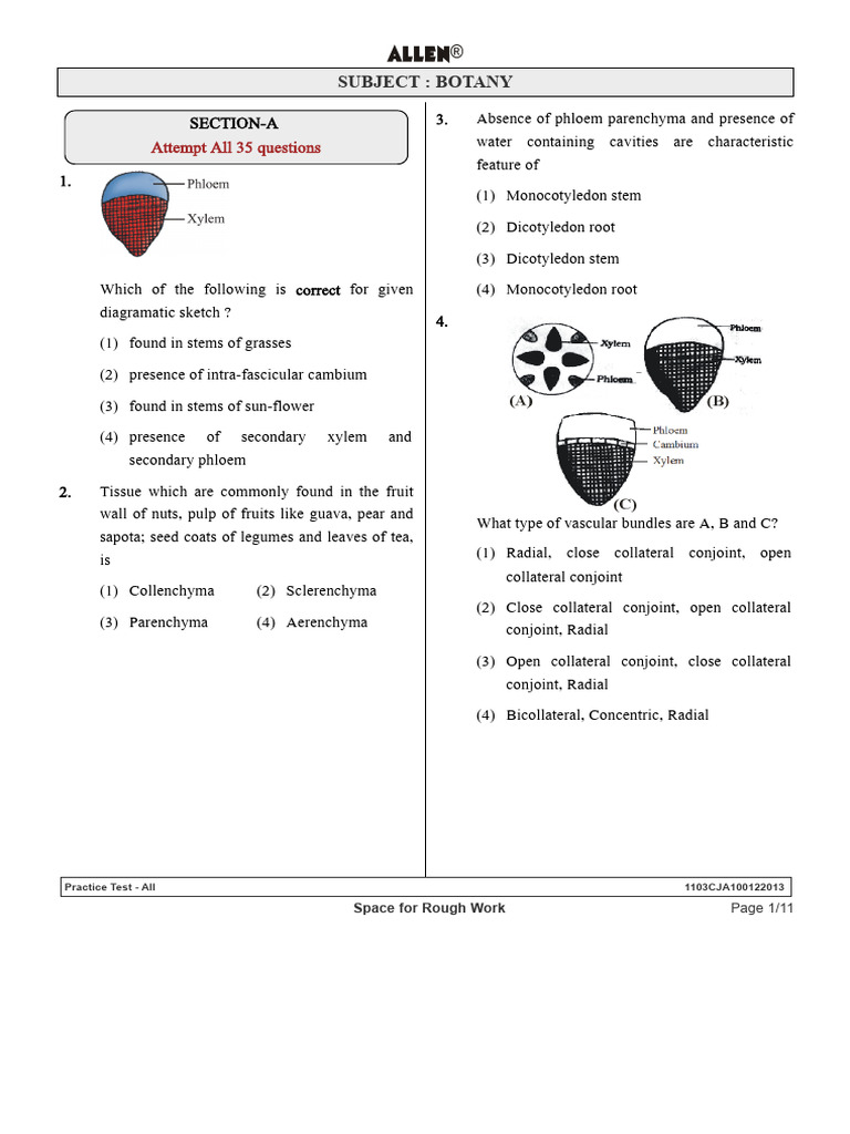 Monocot Root System Characteristics | PDF | Plant Stem | Leaf