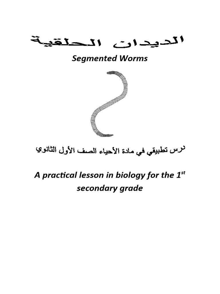 Segmented Worms | PDF