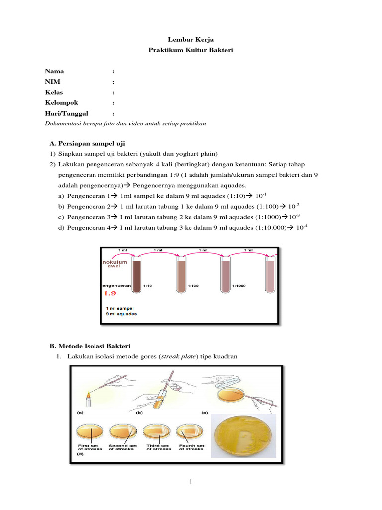 Lembar Kerja Isolasi Bakteri | PDF