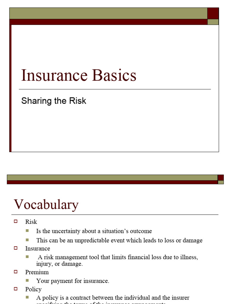 Insurance Basics | PDF | Insurance | Vehicle Insurance