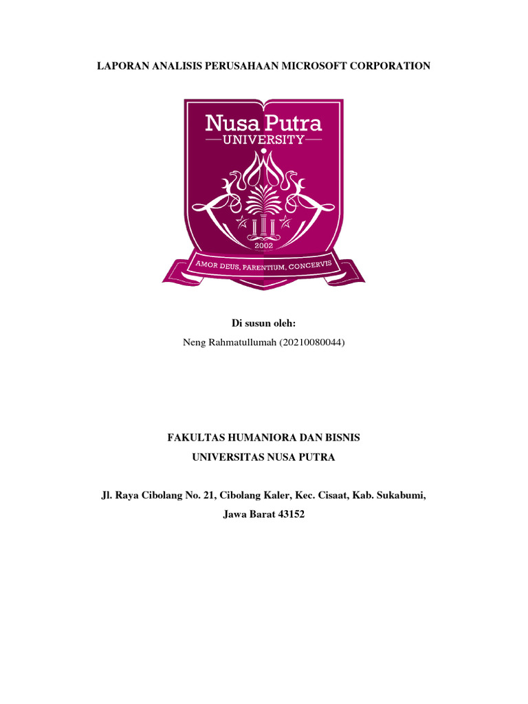 Profil dan Visi Microsoft Corporation | PDF