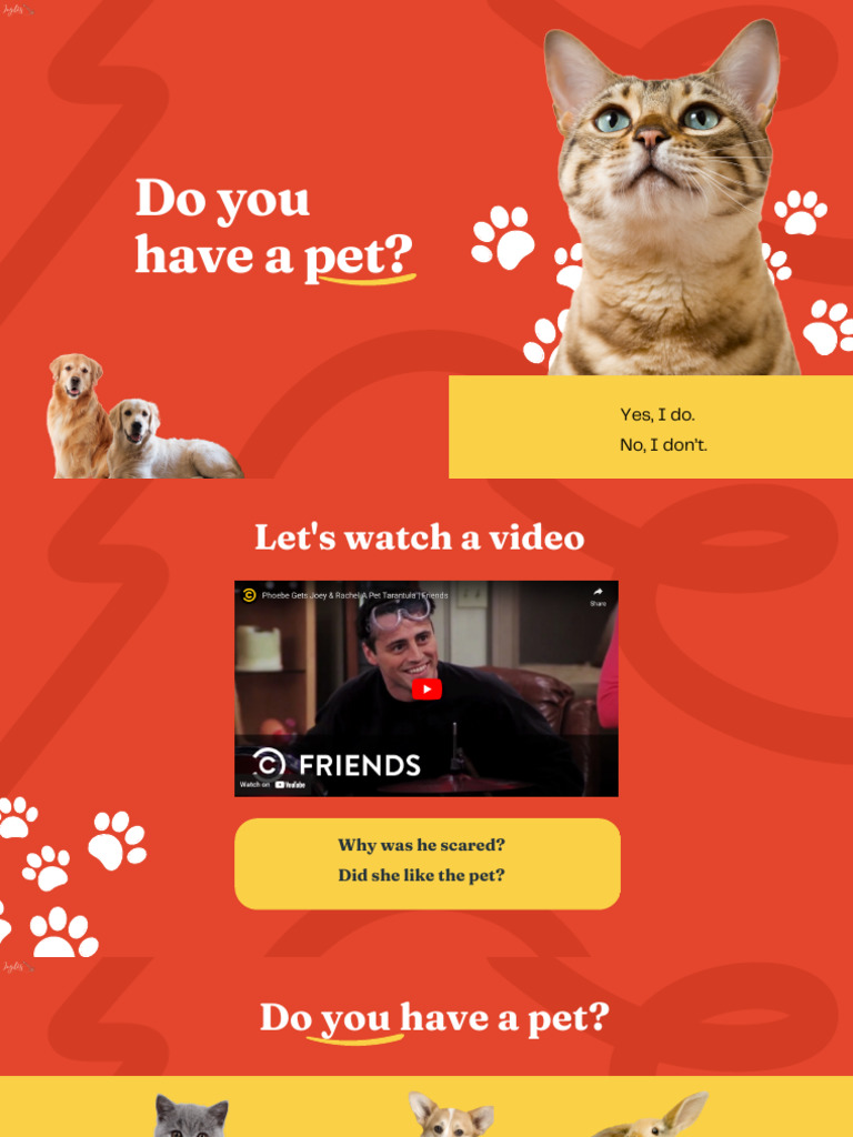 Lesson Plan Do You Have A Pet | PDF