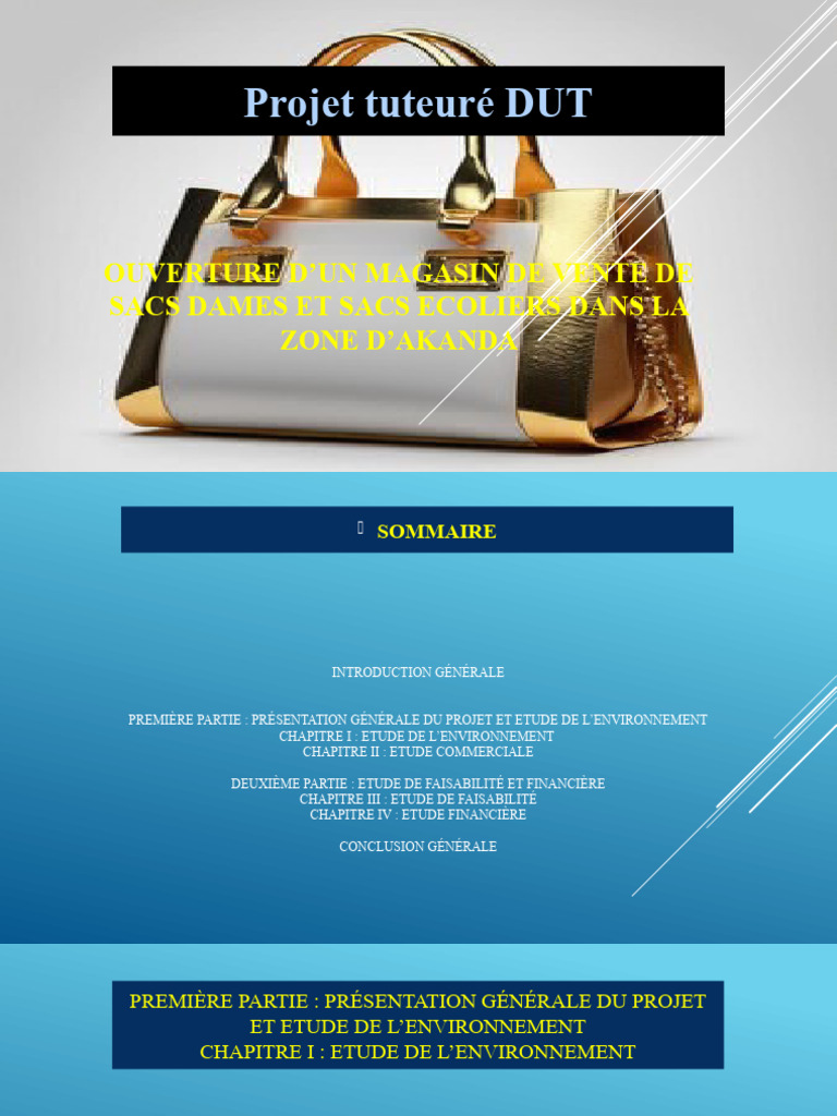 Projet Final Power Point | PDF