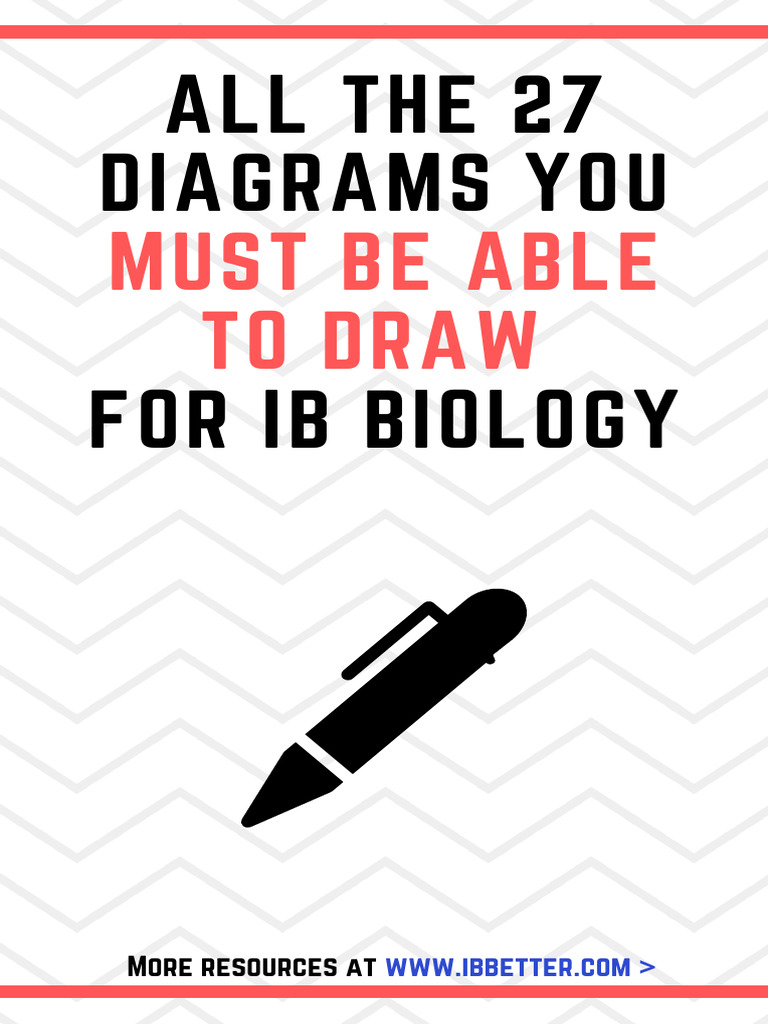 27 Biology Diagrams | PDF