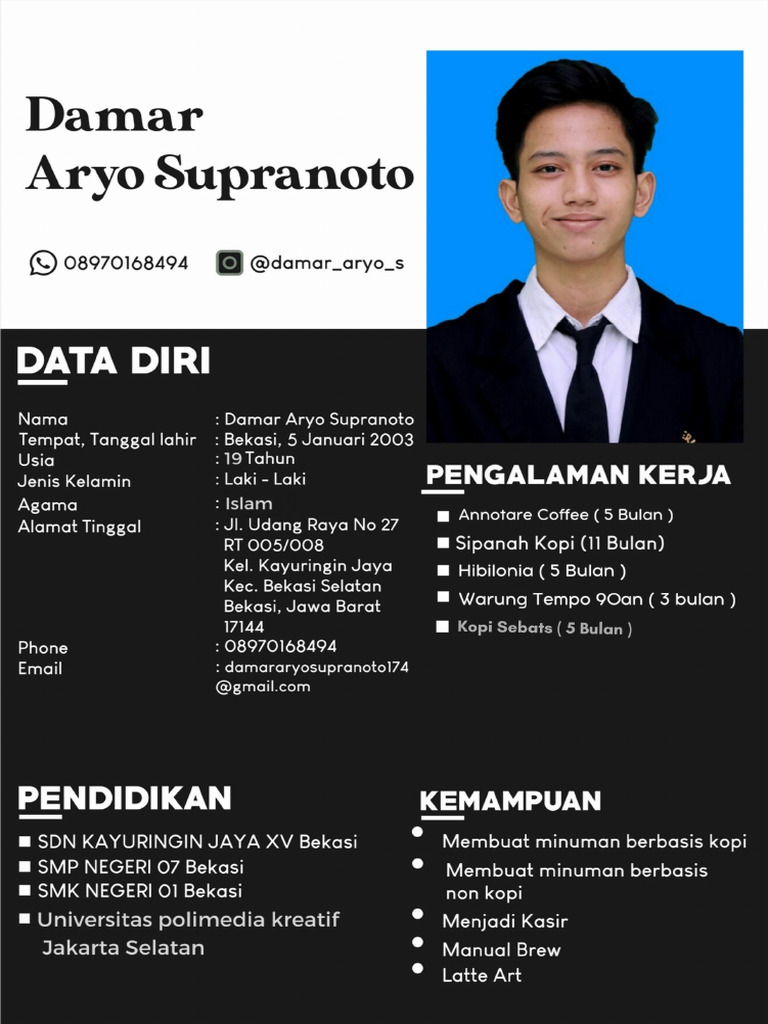 CV Damar | PDF