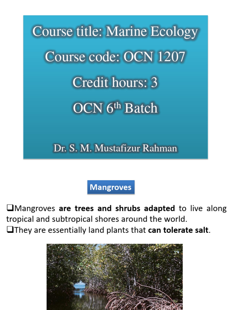 Marine Ecology - Mangrove - Dr. Mustafiz - BSMRMU - OCN 06 | PDF | Mangrove | Trees