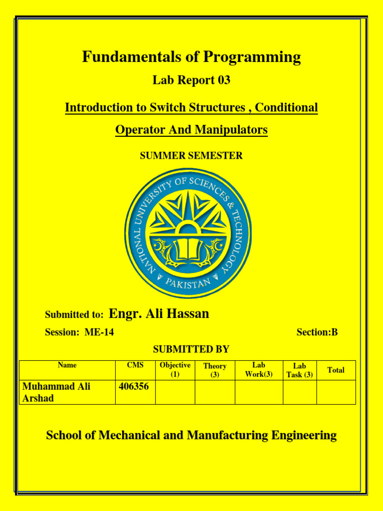 FOP Lab Report 3 M Ali Arshad 406356 | PDF | Computer Program | Programming