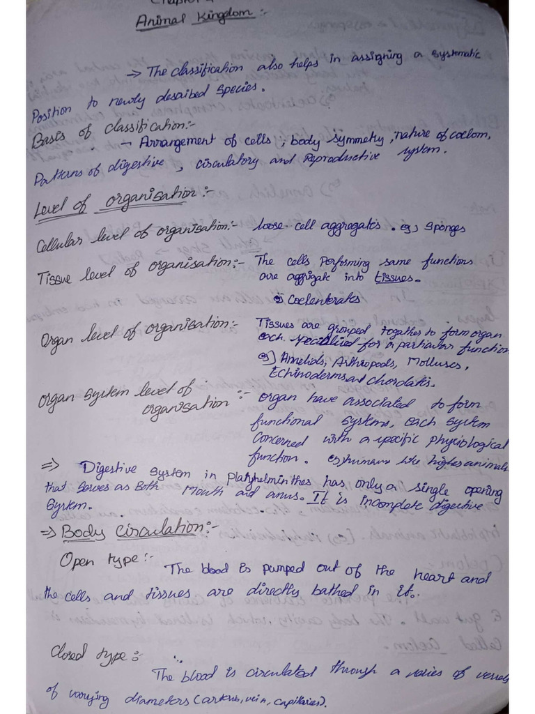 Animal Kingdom Notes For NEET Till Chordates | PDF