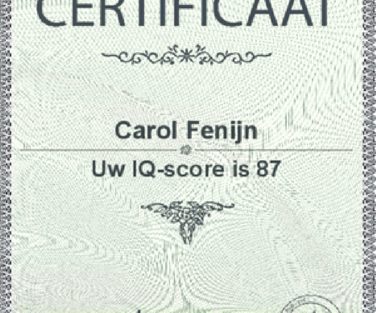 IQ Certificate | PDF