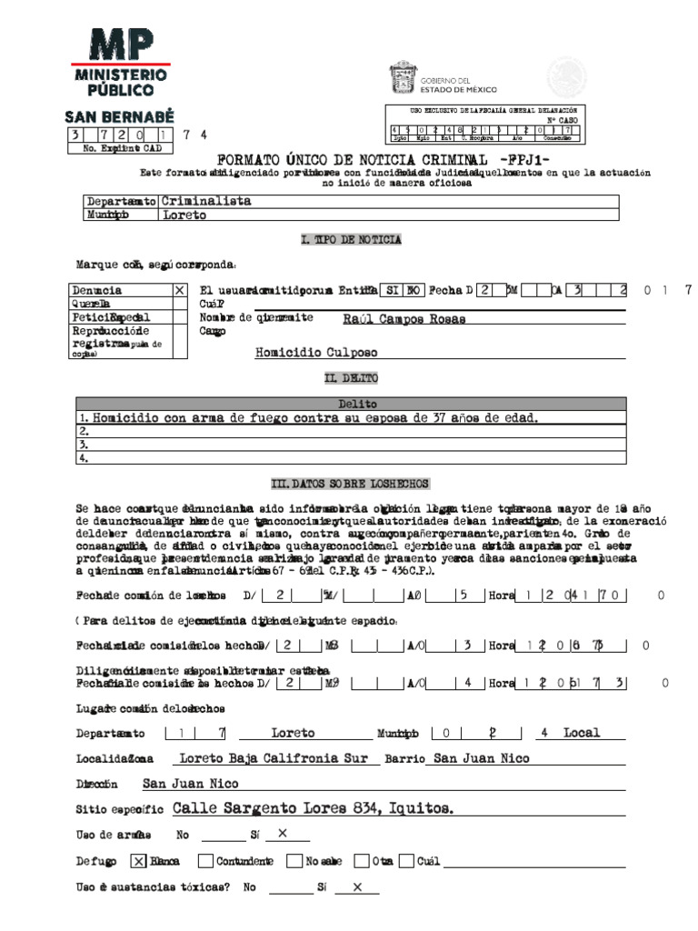 Formatos Judiciales | PDF