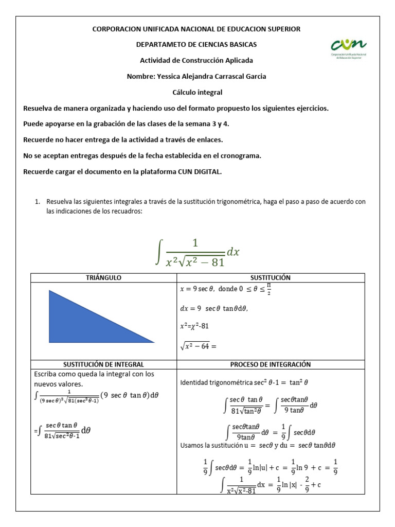 Aca 2 - Cálculo Integral | PDF