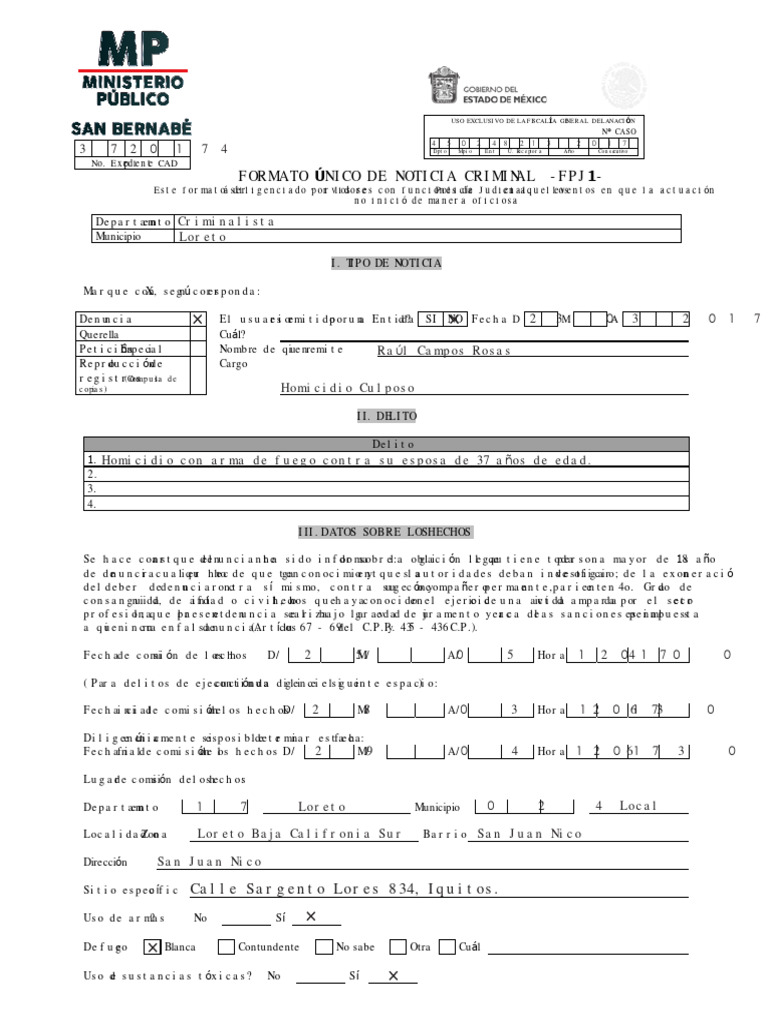 Formatos Judiciales Editable | PDF