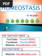 Grade 12 Life Science Human Reproduction Notes | PDF | Menstrual Cycle ...