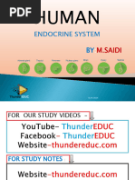 Grade 12 Notes Genetics 2025 | PDF | Dominance (Genetics) | Genotype